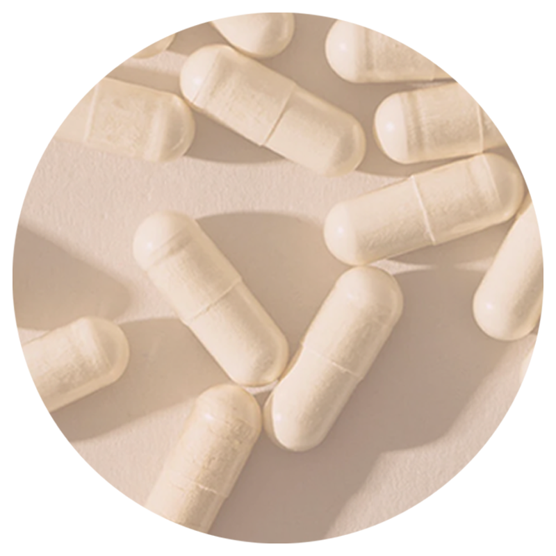 IMMUNE SHIELD | Lactoferrin + Vitamin C – Virustatic Shield